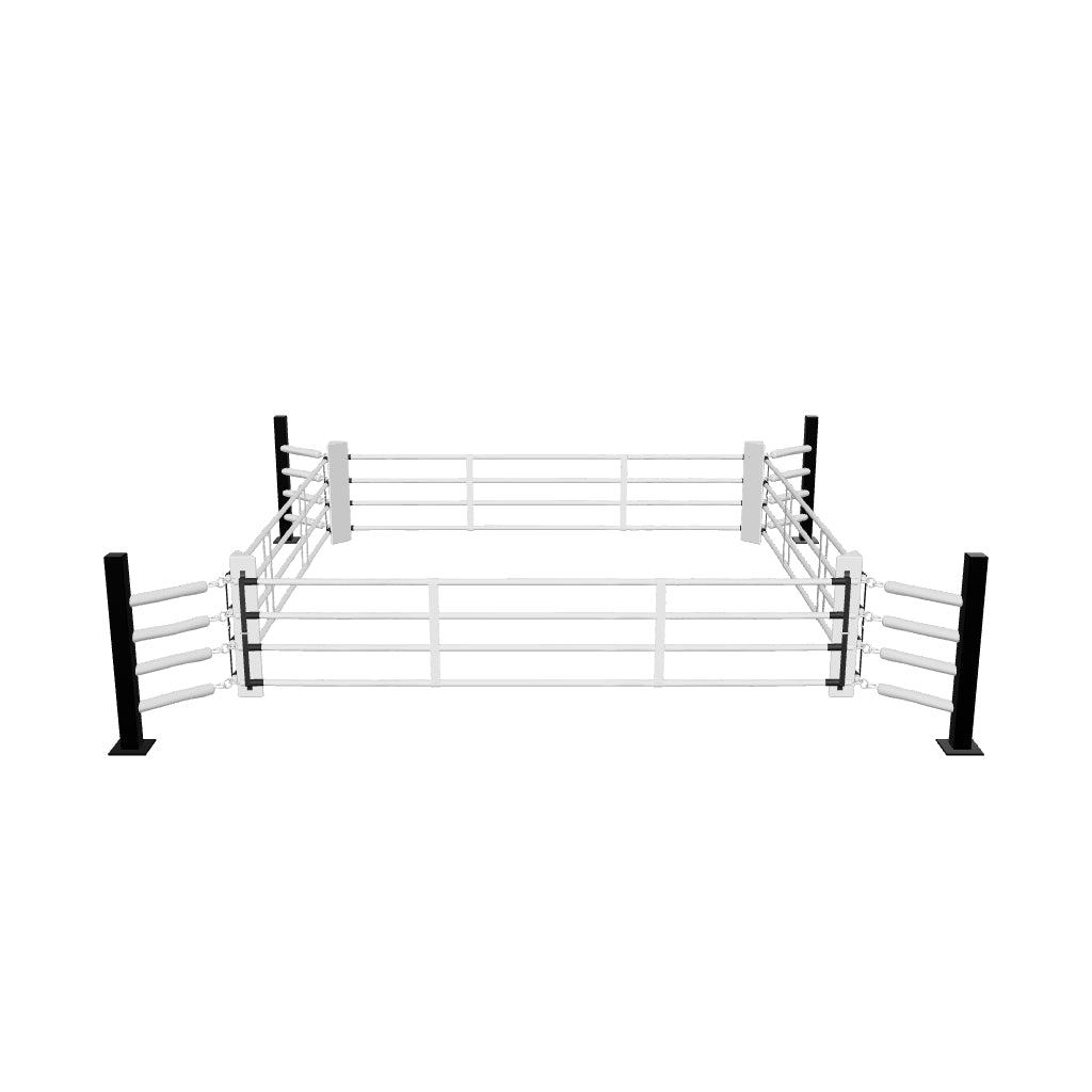 Custom Floor Ring – EP Fight Shop